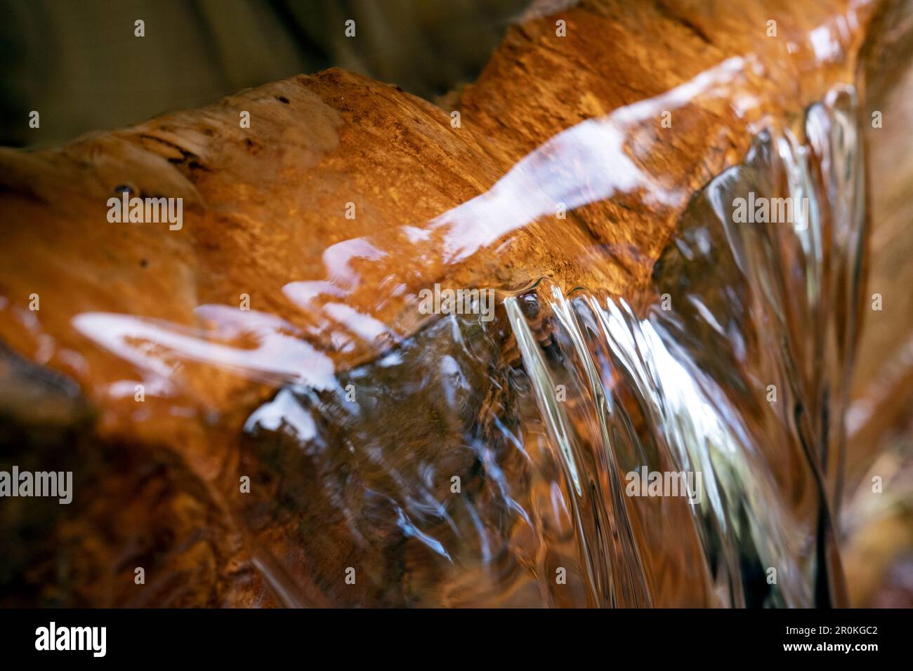 Waters flow over a dam wood in a creek in close-up, Penku Springs ...