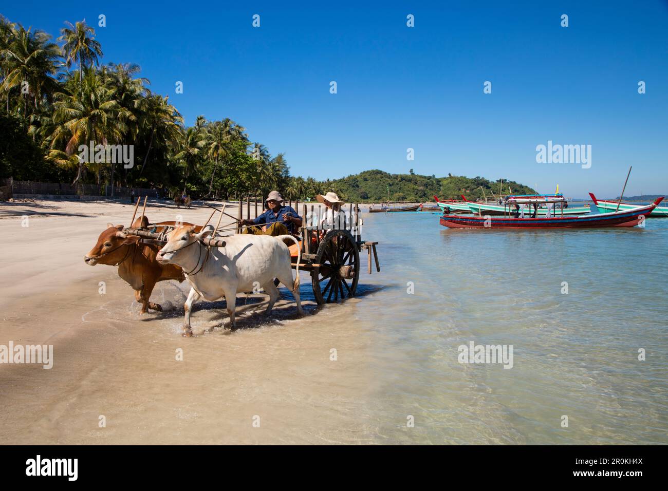 Tourists ride on ox cart along beach at Maung Shwe Lay village, near ...