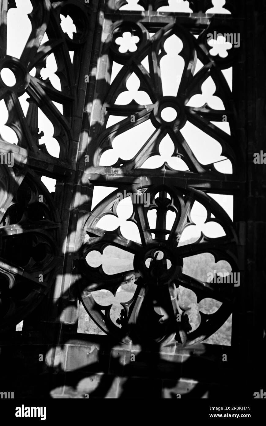 Die Gotische Ornamentik im Turm des Freiburger Münsters, 1938. The ...