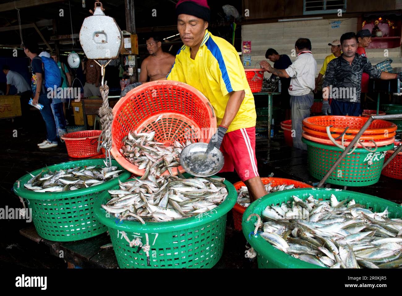 Worker in a fish factory on Pangor Island, Malaysia Stock Photo - Alamy