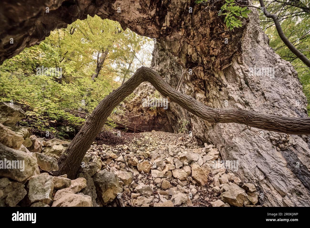 UNESCO World Heritage Ice Age Caves of the Swabian Alb ...