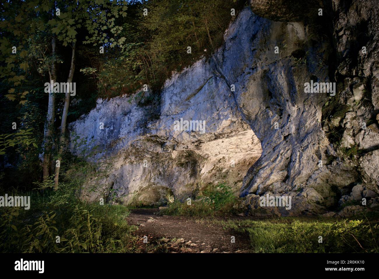 Cave lion hi-res stock photography and images - Alamy