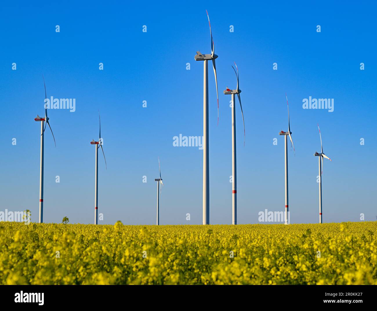 Jacobsdorf, Germany. 08th May, 2023. Wind turbines in a blooming ...