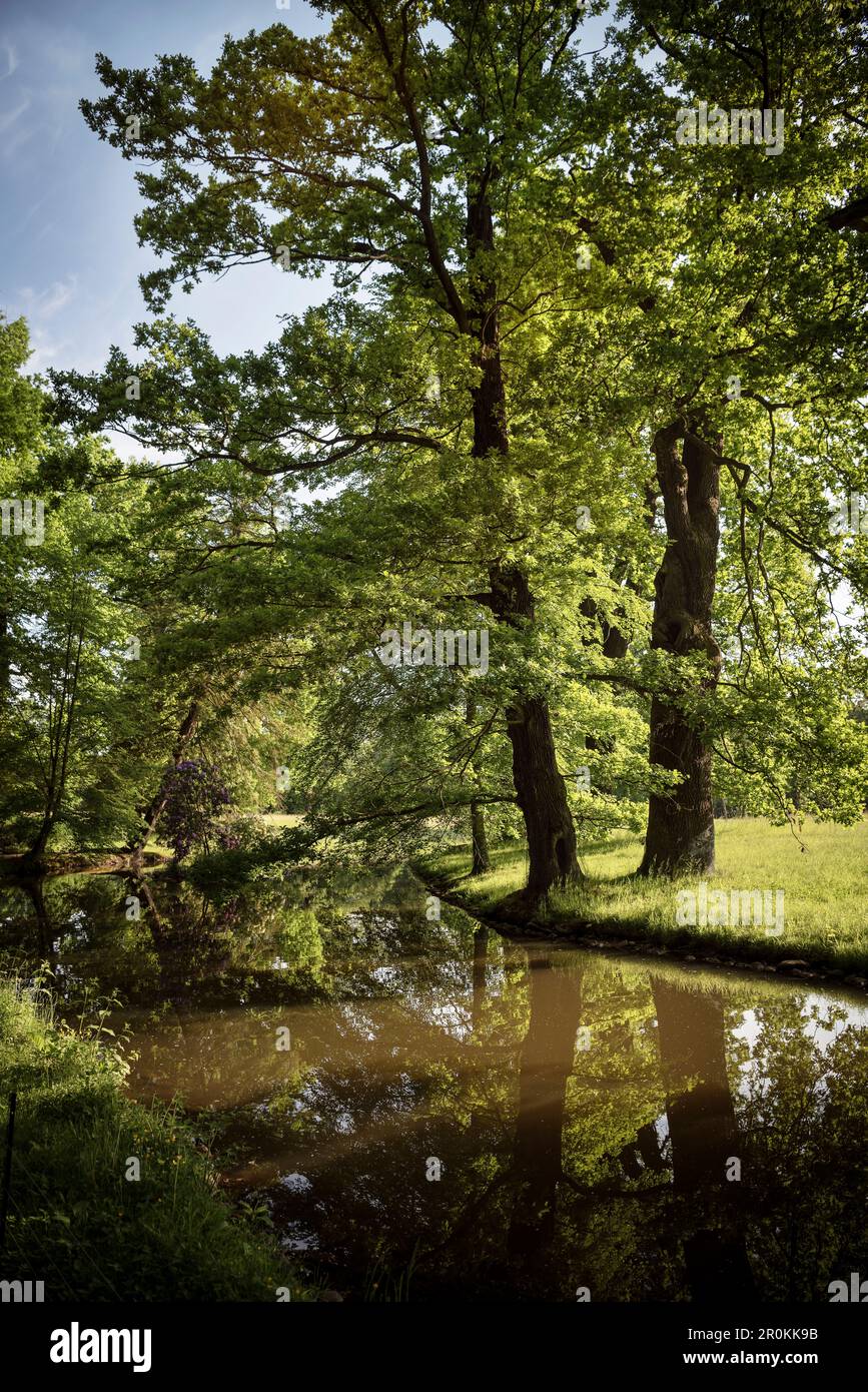 UNESCO World Heritage Muskau Gardens Prince Pueckler Park, Lausitz ...