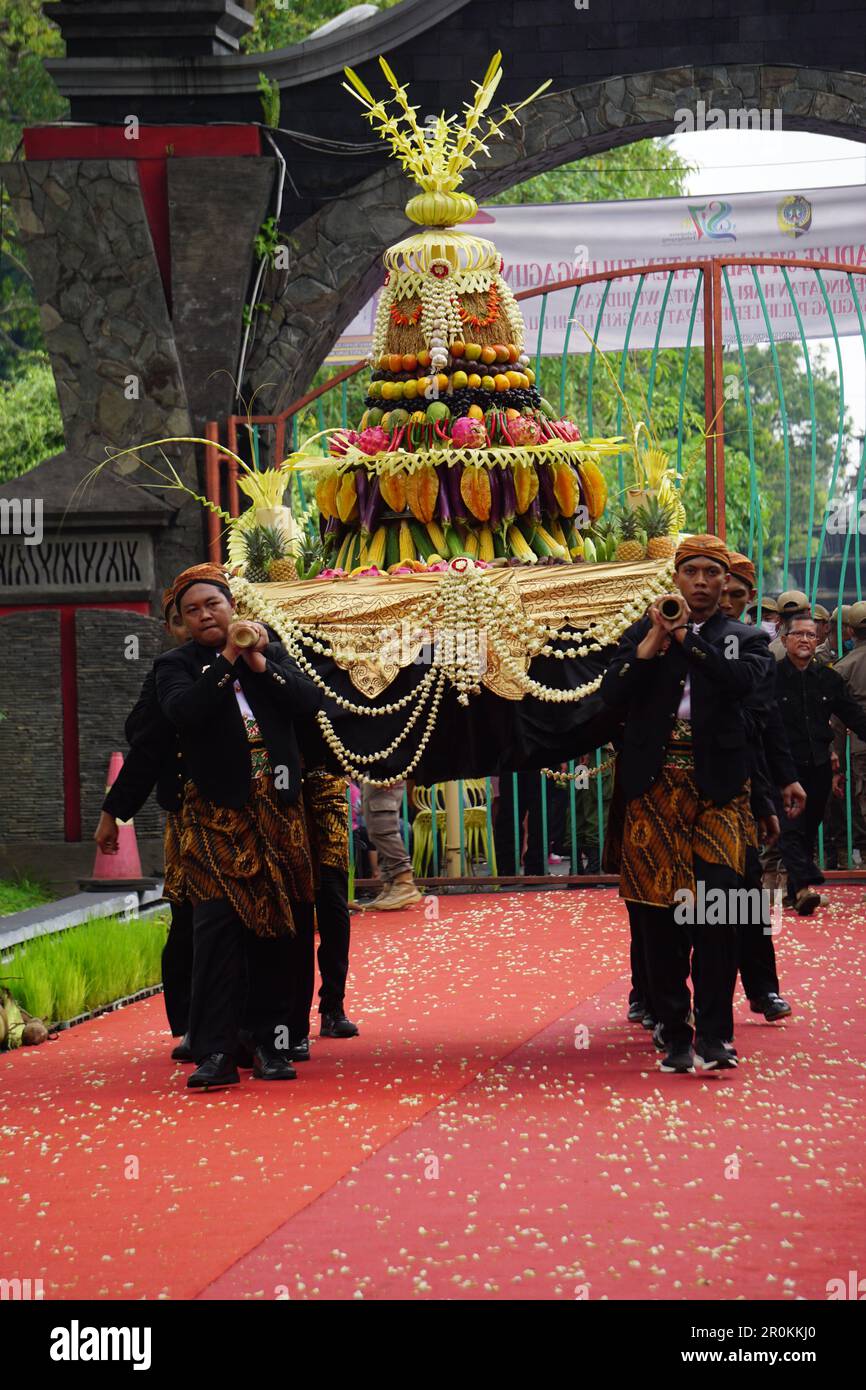 Javanese fight over food (tumpeng) in the ceremony of Tulungagung's ...
