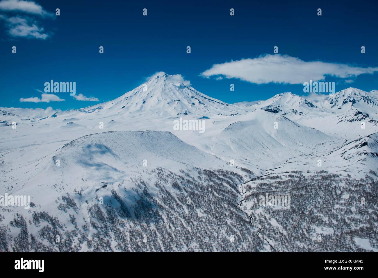 Aerial of Koryaksky volcano and trees in snow-covered landscape near ...