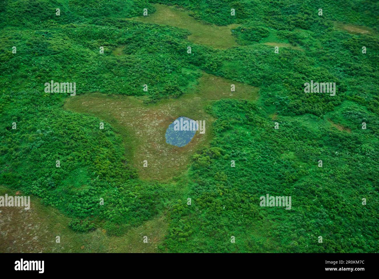 Aerial view of a small pond surrounded by grass and shrubs, near Kodiak ...