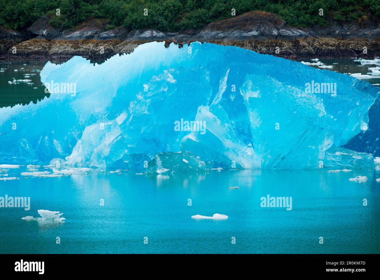 An iceberg of bright blue glacial ice floats in the water, Tracy Arm ...