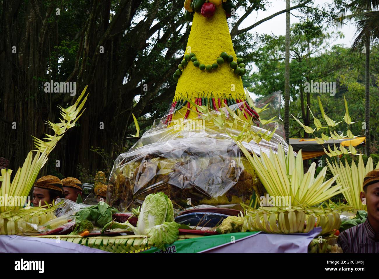 Javanese fight over food (tumpeng) in the ceremony of Tulungagung's ...