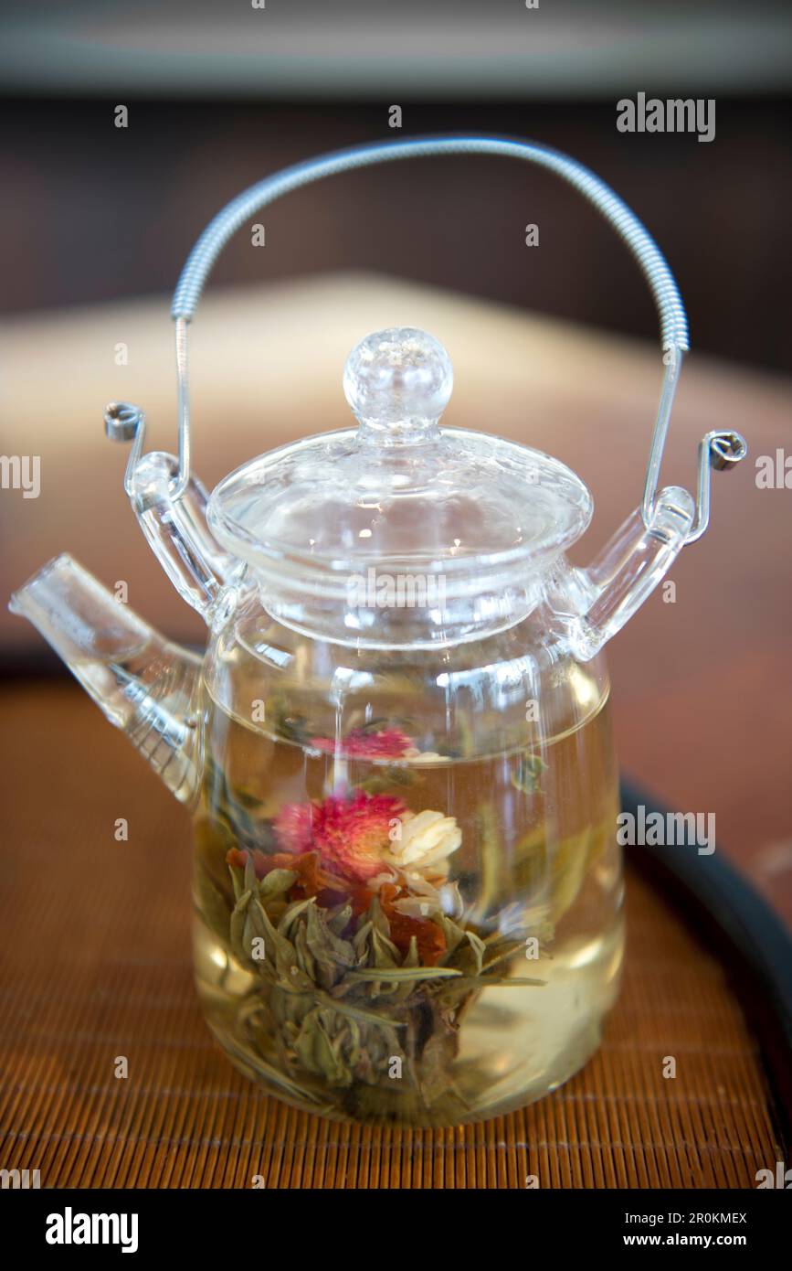 Sydney white rabbit gallery hi-res stock photography and images - Alamy