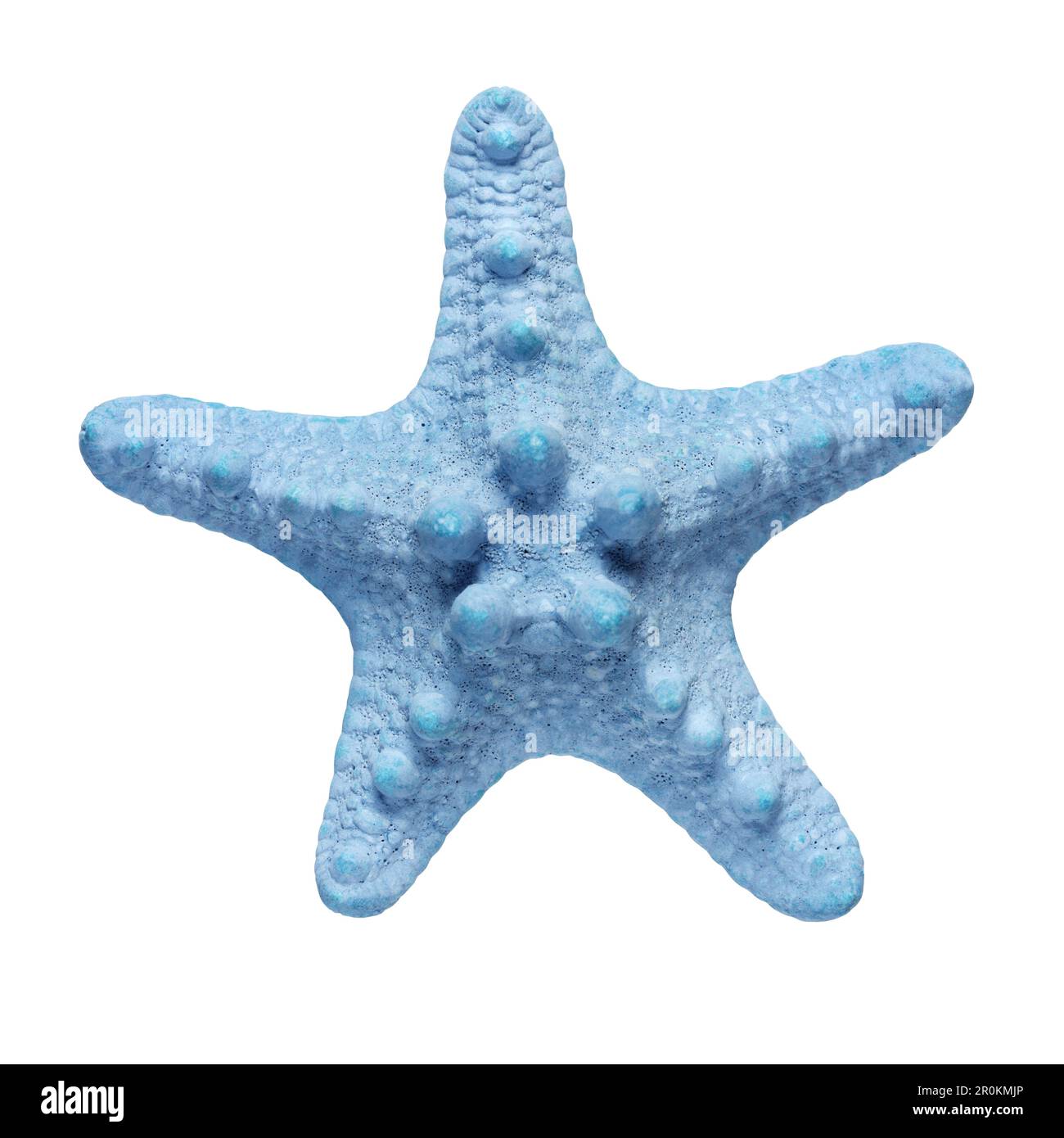 Blue Sea Star