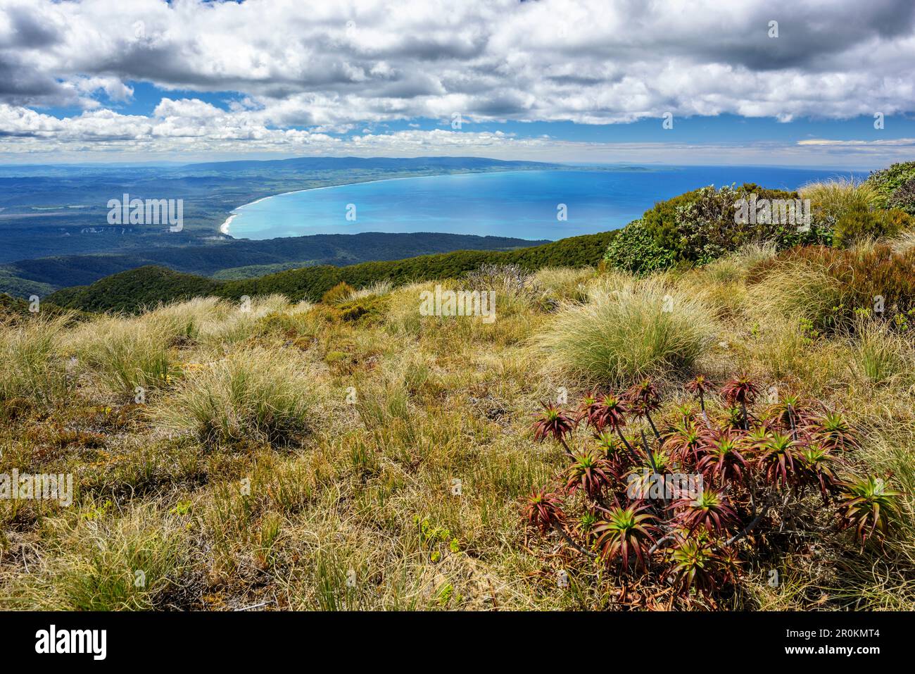 View from Hump Ridge to Tasman Sea, Hump Ridge, Hump Ridge Track ...