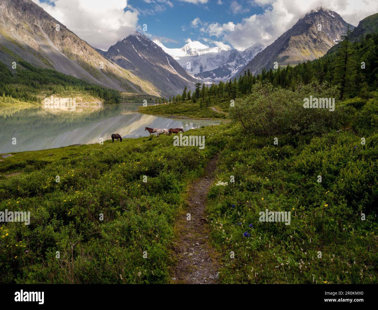 Lake Akkemskoye Ozero, Kara-Tyurek, Belucha, Altai, Siberia, Russia ...