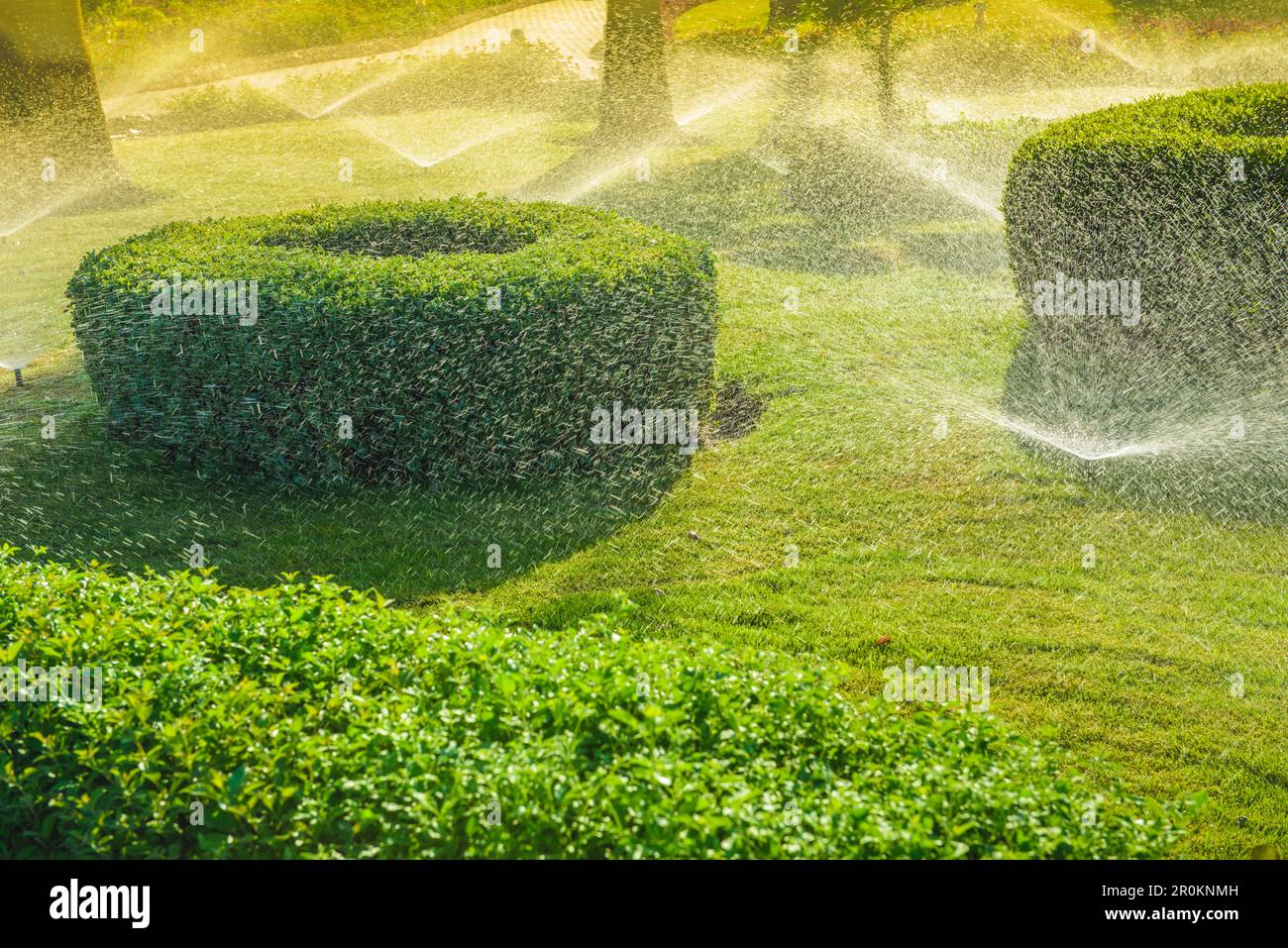 Automatic garden irrigation system watering green garden. Spraying ...