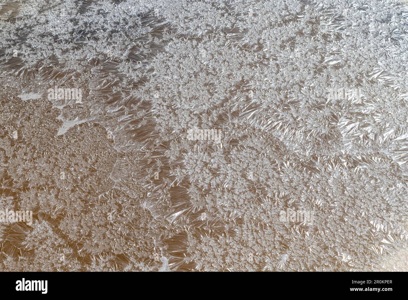 A thin layer of salt crystals forming on the surface of an evaporation ...