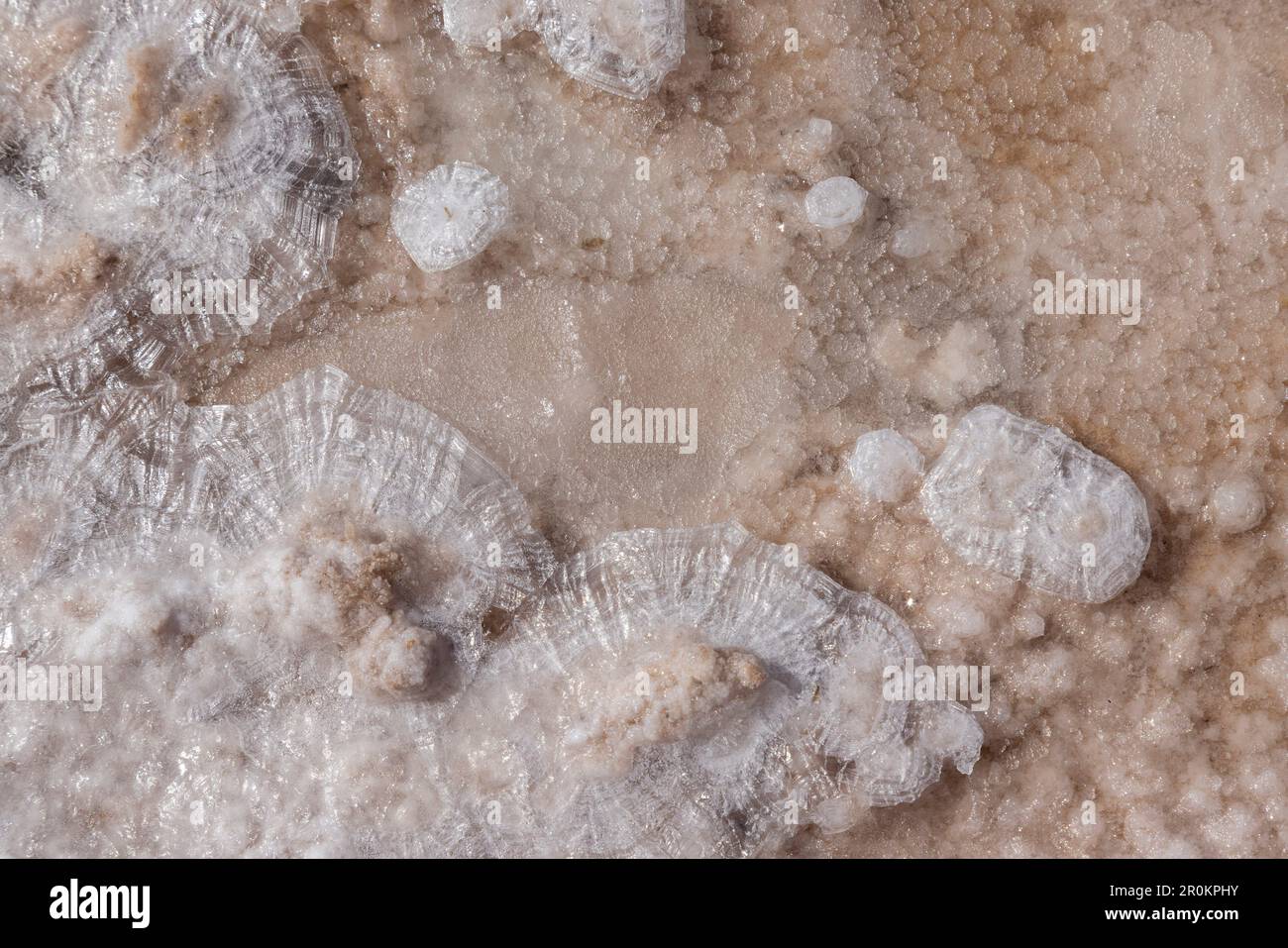 Closeup view showing the formation of salt crystals on the surface of ...
