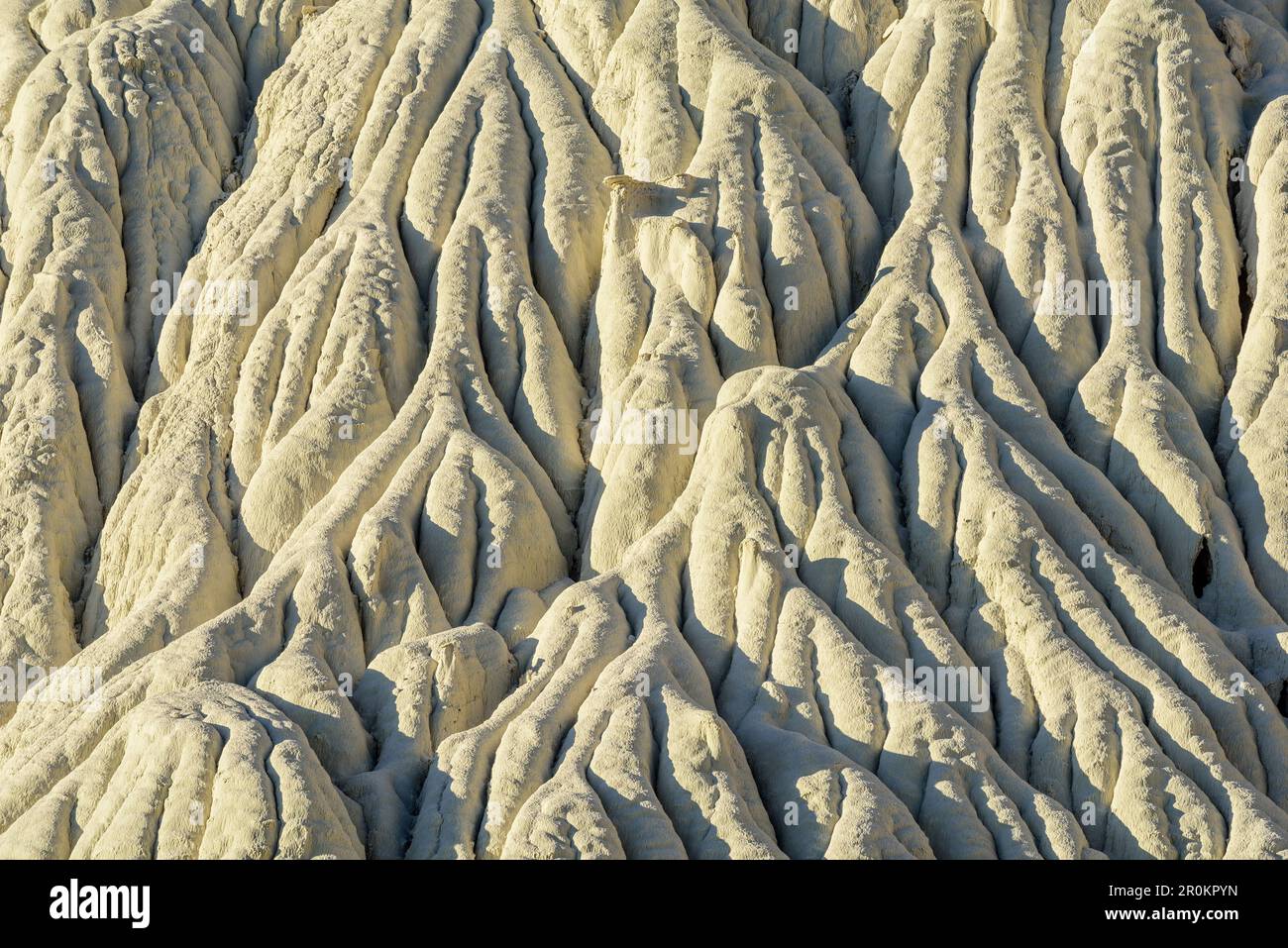 White rock erosion at Wahweap River, Grand Staircase-Escalante National ...