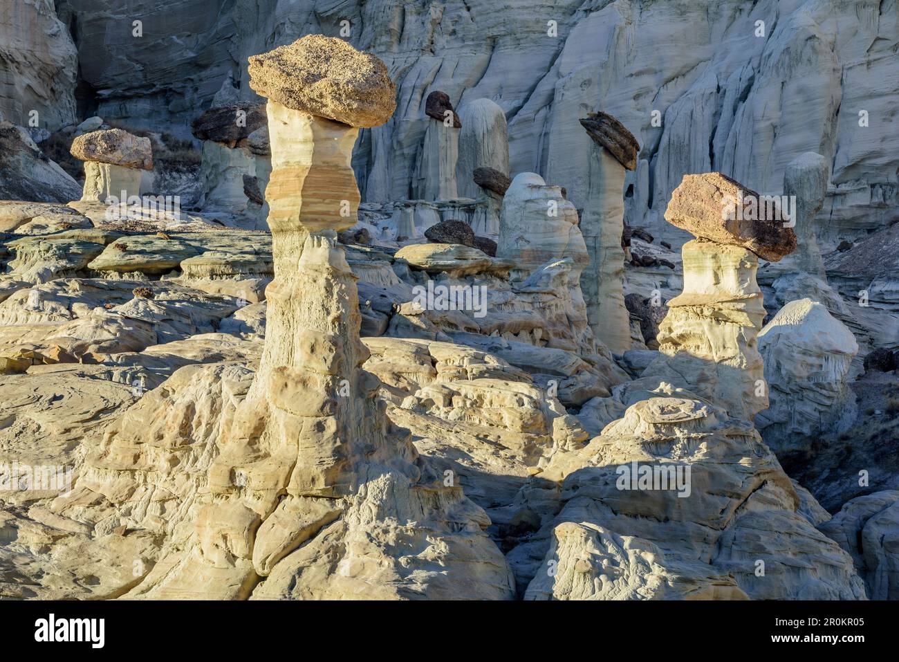 White rock towers at Wahweap River, Grand Staircase-Escalante National ...