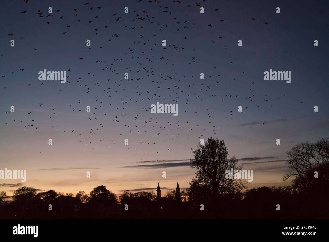 Crow flying over church hi-res stock photography and images - Alamy