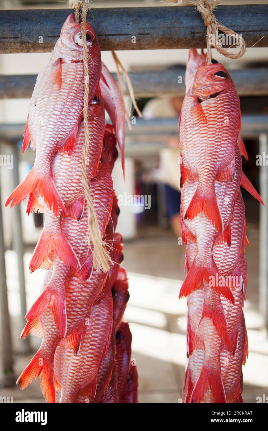 FRENCH POLYNESIA, Raiatea Island. Fish for sale at the Raiatea Market ...