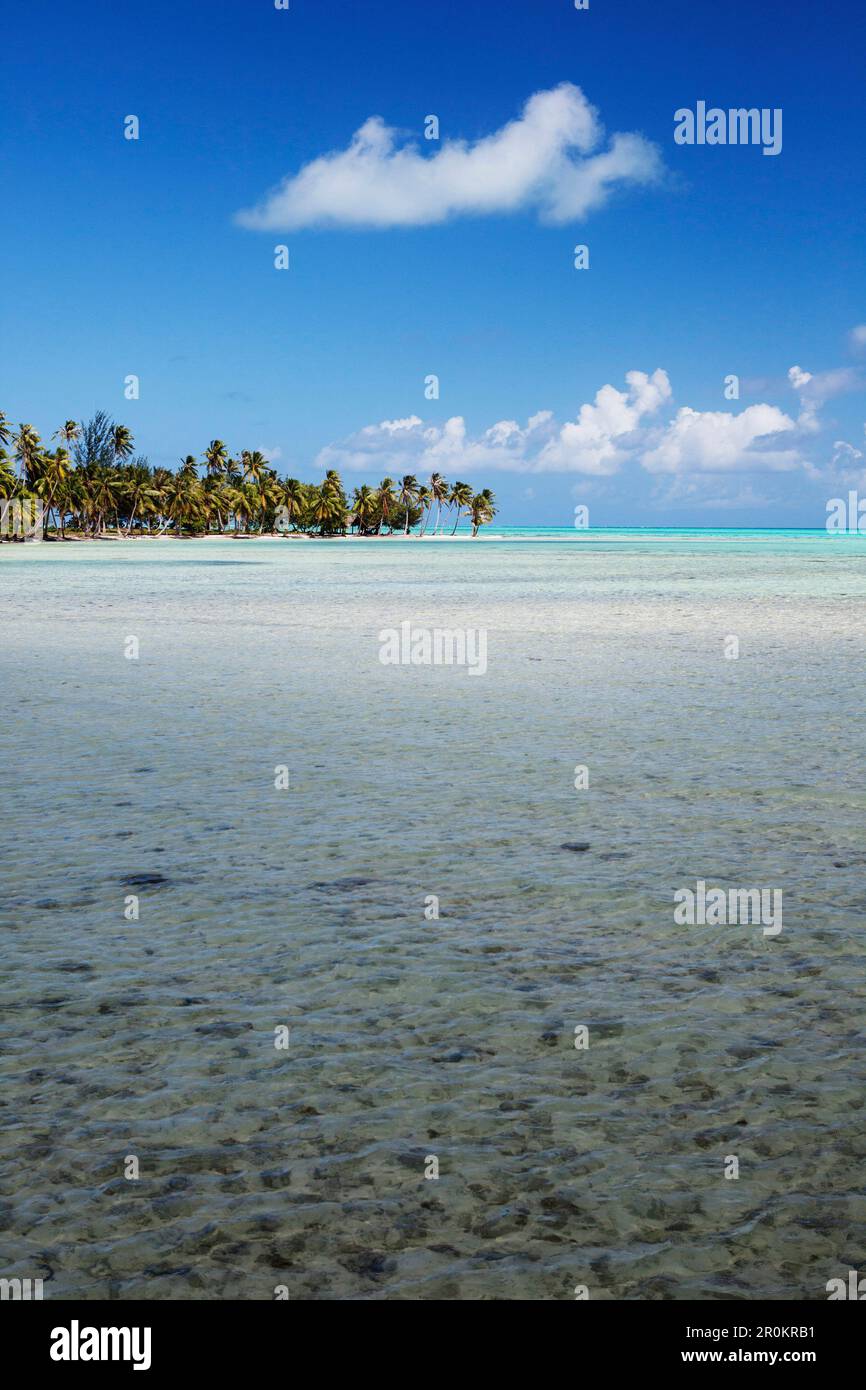 FRENCH POLYNESIA, Vahine Island. View of the water and part of the ...