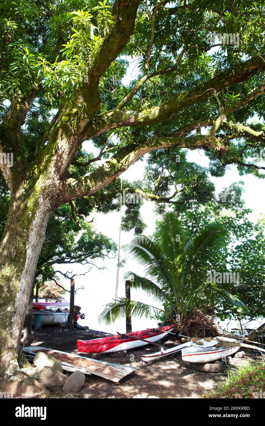 FRENCH POLYNESIA, Tahiti. View fishing boats in the village of Vairao ...