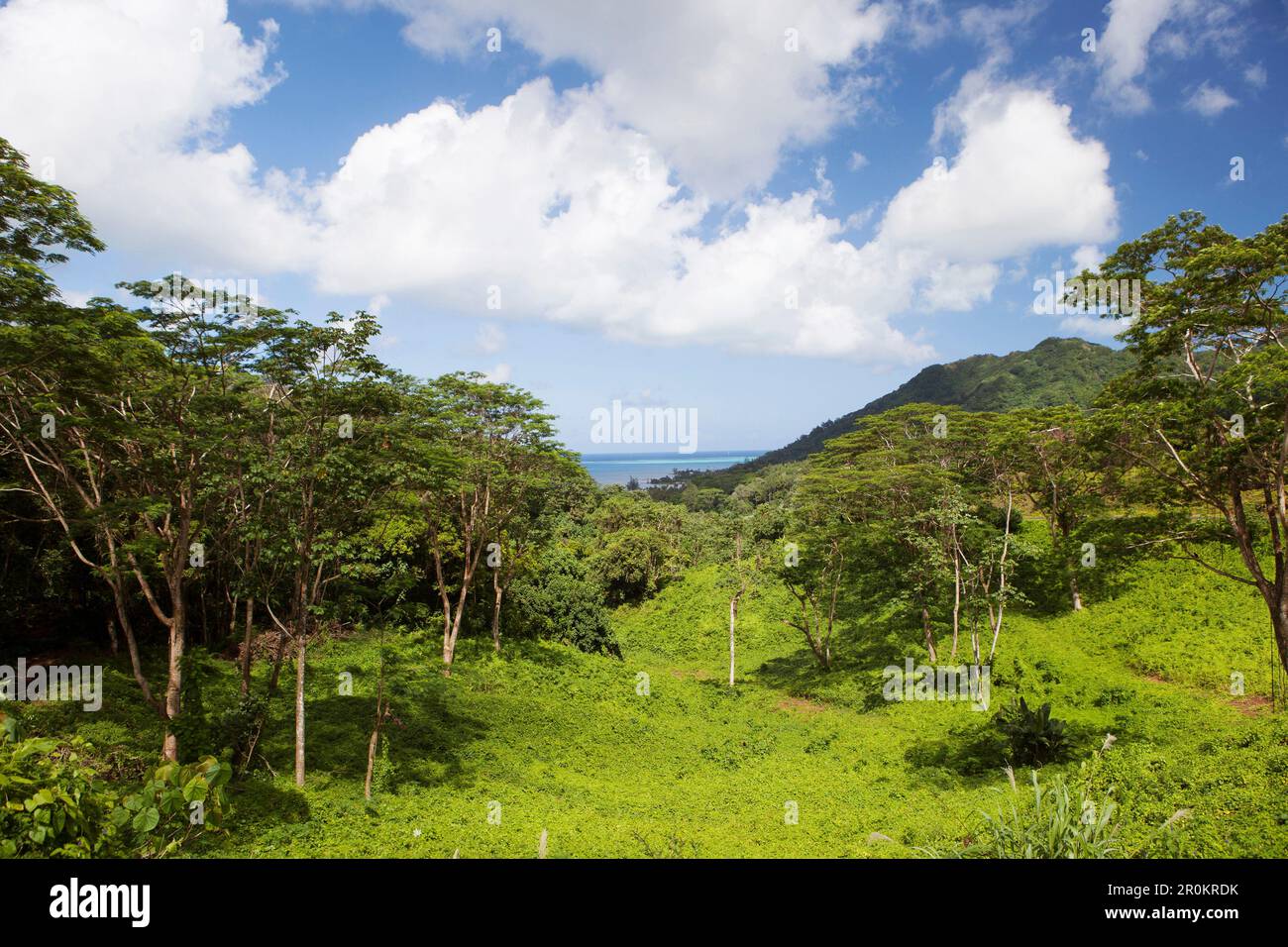 FRENCH POLYNESIA, Tahaa Island. A landscape and view of the lush ...