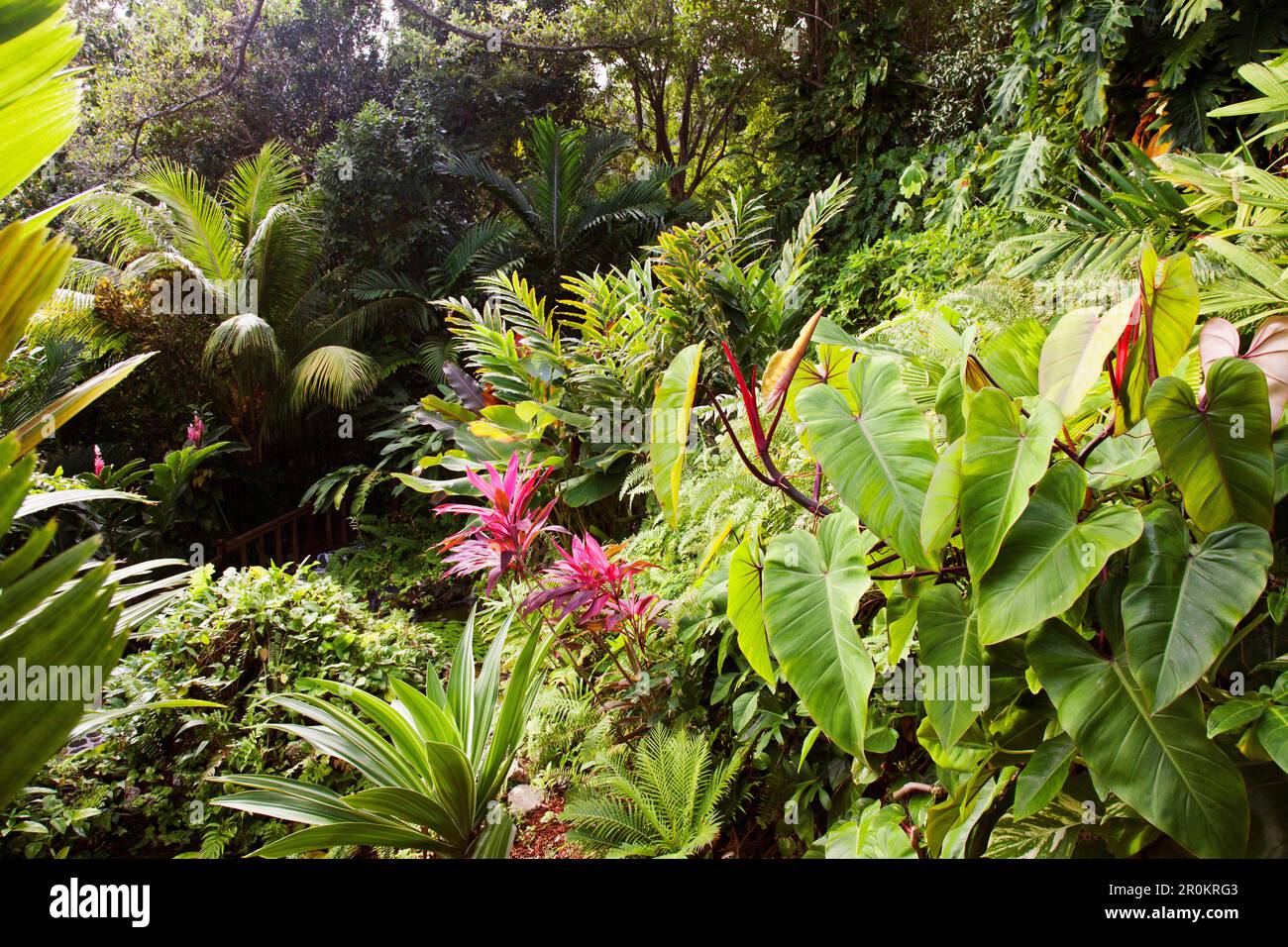 JAMAICA, Port Antonio. A garden at the Geejam Hotel Stock Photo - Alamy