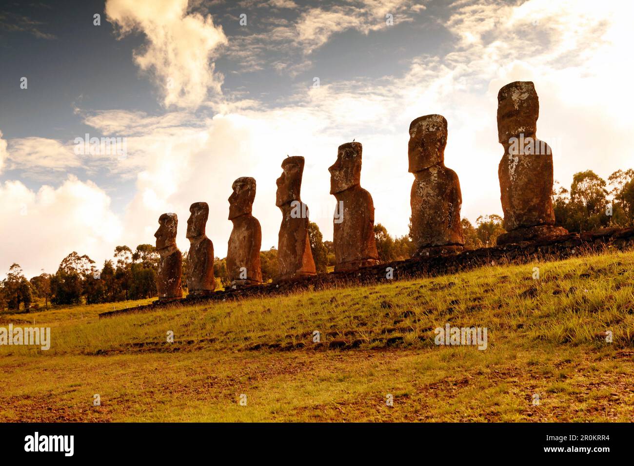 EASTER ISLAND, CHILE, Isla de Pascua, Rapa Nui, the Ahu Akivi is a ...