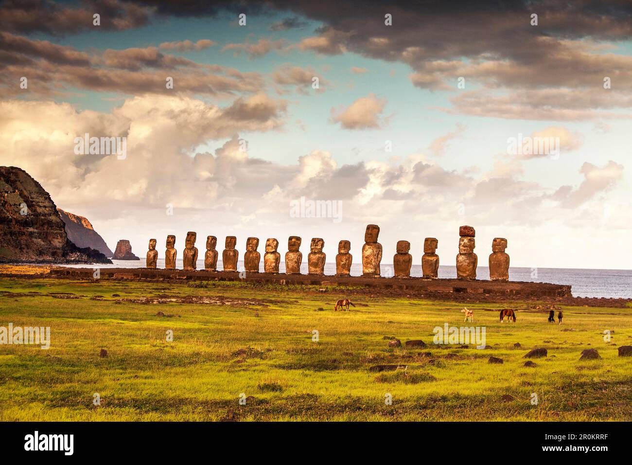 EASTER ISLAND, CHILE, Isla de Pascua, Rapa Nui, horses graze in front ...