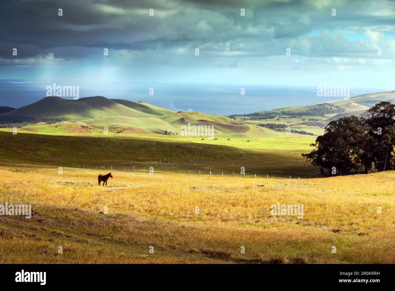 EASTER ISLAND, CHILE, Isla de Pascua, Rapa Nui, hikers explore around ...