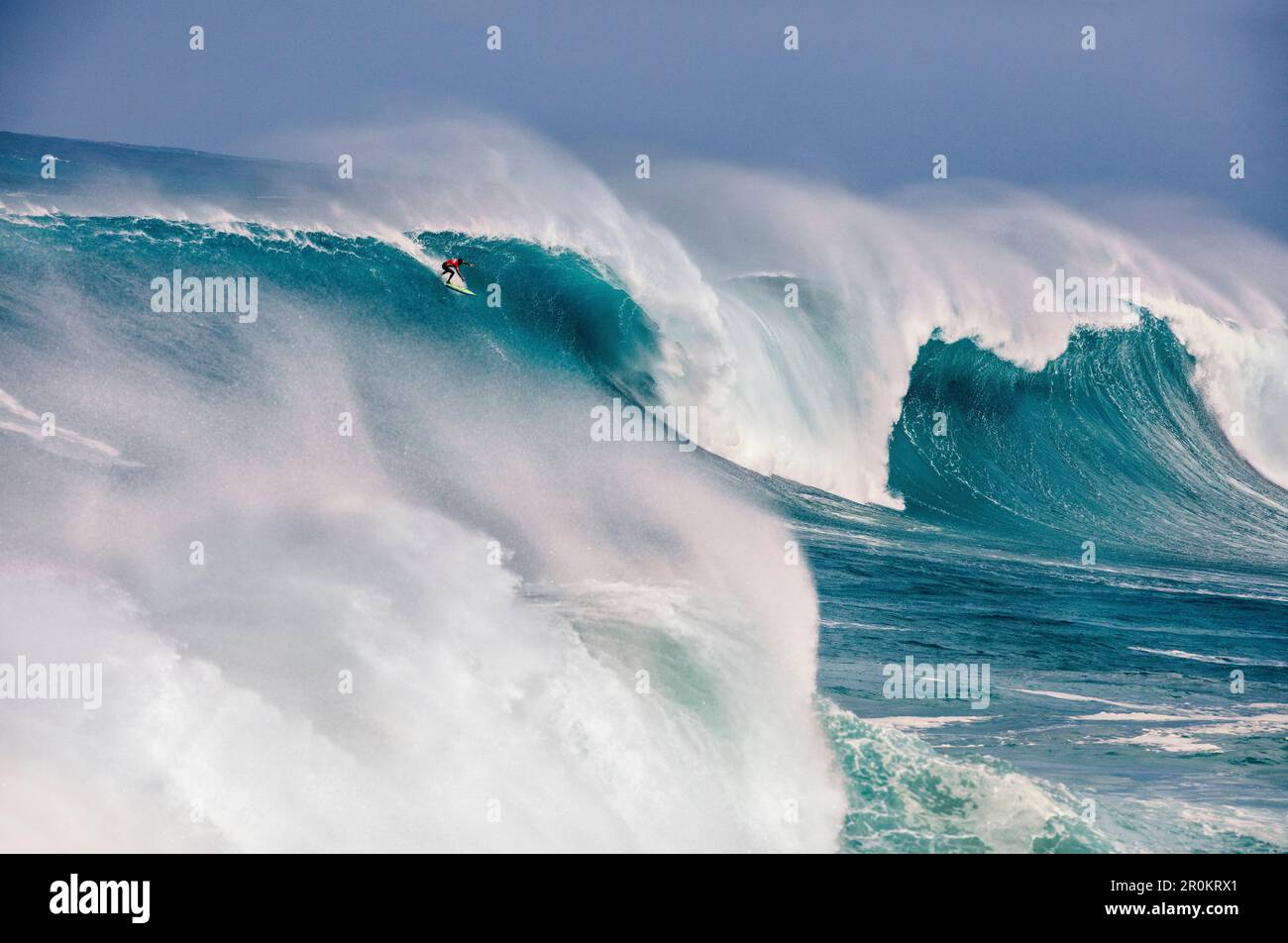 HAWAII, Oahu, North Shore, Eddie Aikau, 2016, surfers competing in the ...