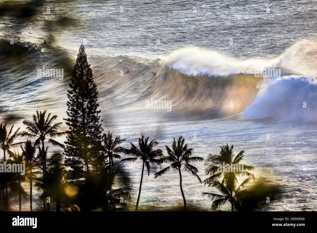 HAWAII, Oahu, North Shore, Eddie Aikau, 2016, locals surfing at Waimea ...