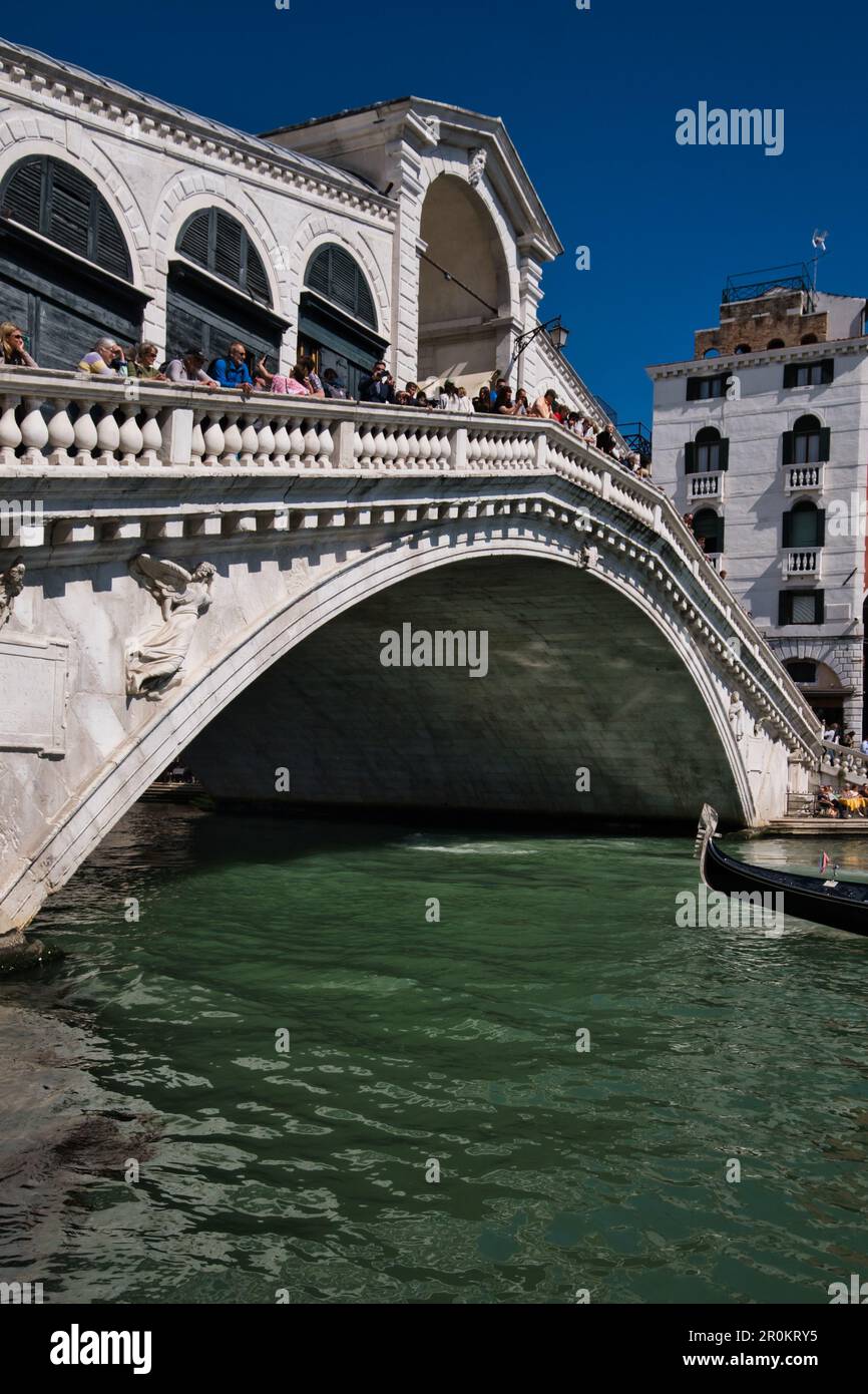 View of the famous Rialto bridge in Venice Stock Photo - Alamy