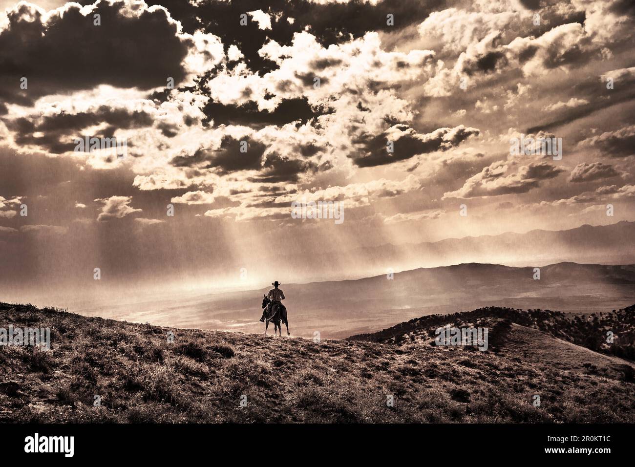 USA, Nevada, Wells, cowboy and wrangler Clay Nannini rides around the ...