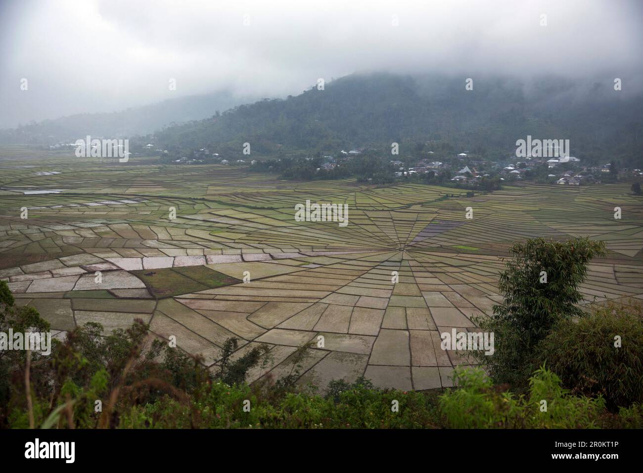INDONESIA, Flores, landscape of the Lingko or Spider Web Rice Fields in ...
