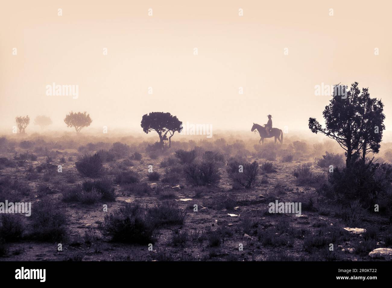 USA, Nevada, Wells, cowboy and wrangler Clay Nannini out early herding ...