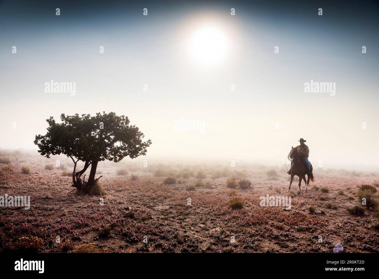 USA, Nevada, Wells, cowboy and wrangler Clay Nannini out early herding ...