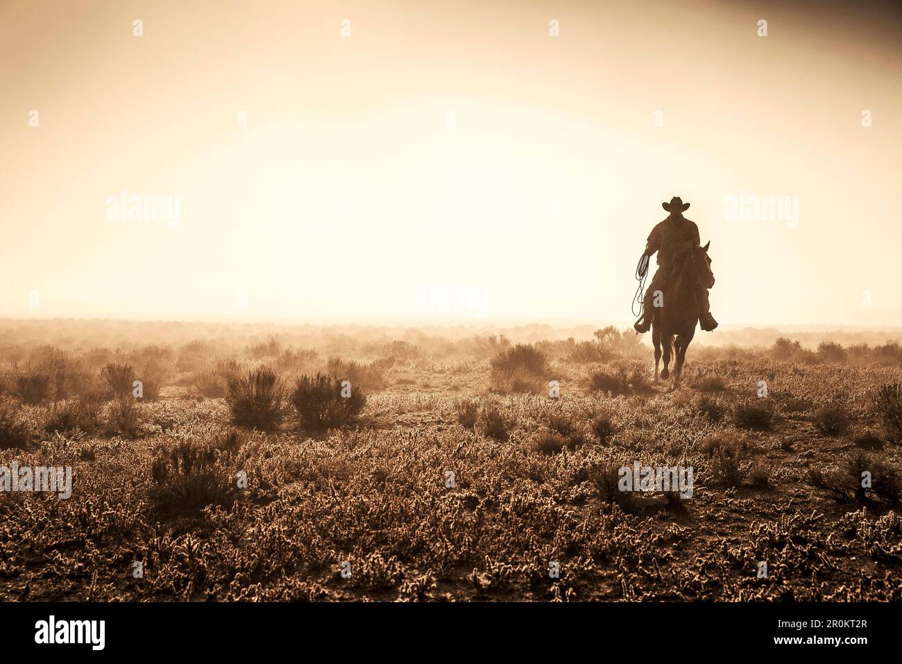 USA, Nevada, Wells, cowboy and wrangler Clay Nannini out early herding ...