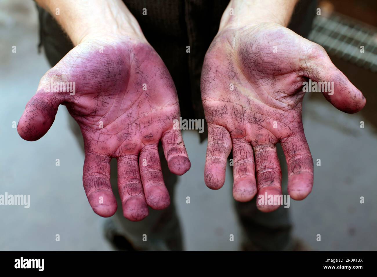 USA, Oregon, Medford, Woolridge Creek Winery is located in the heart of ...