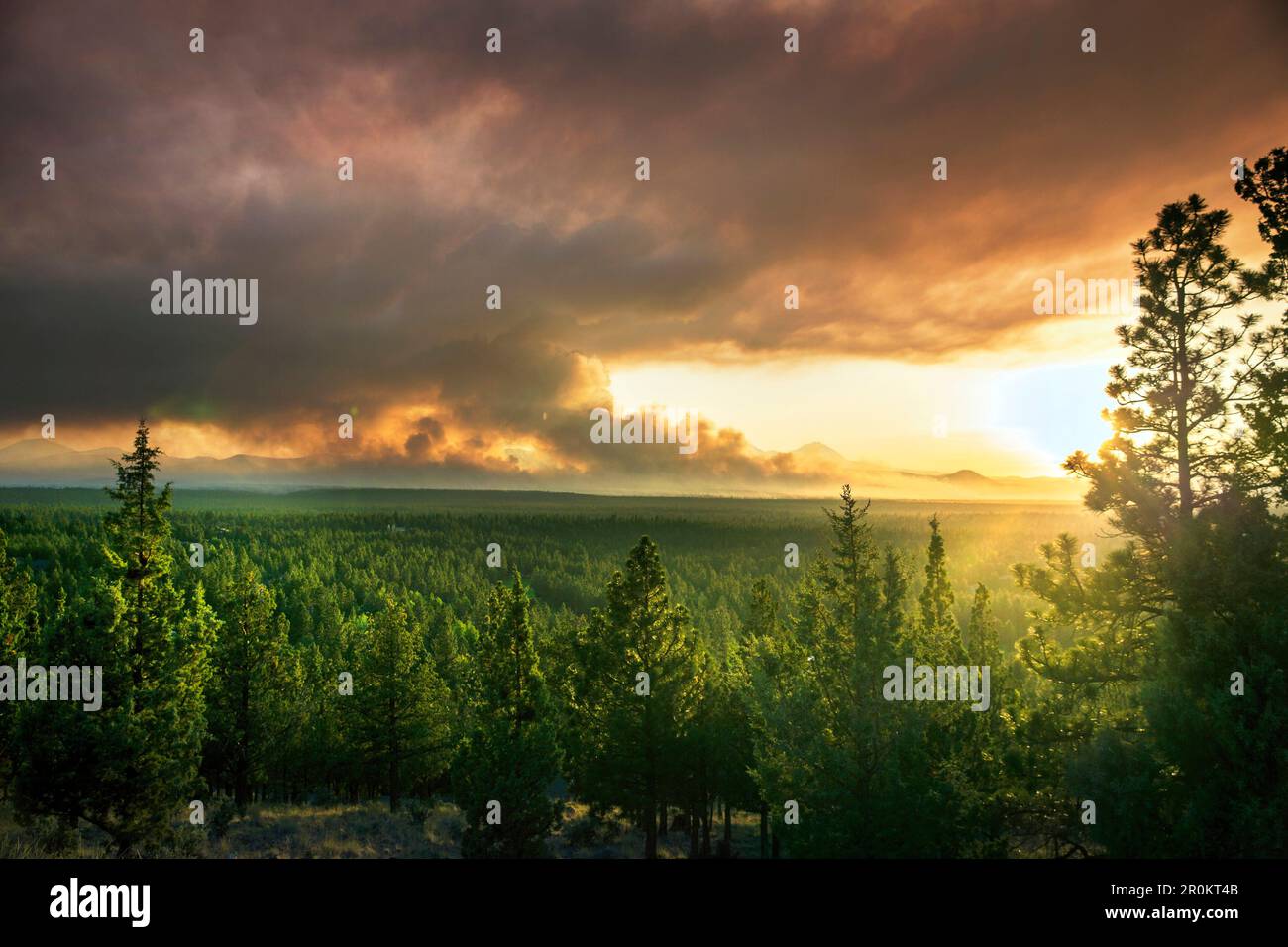 USA, Oregon, Bend, the smoke of the two bulls fire near Bend billows ...