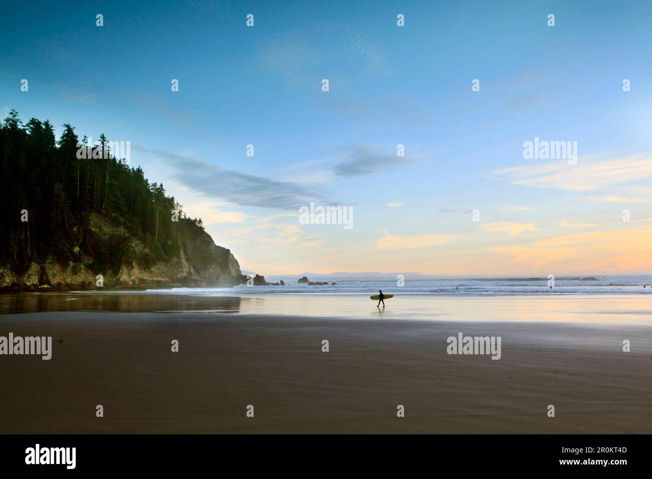 USA, Oregon, Oswald West State Park, surfers walk along the beach and ...