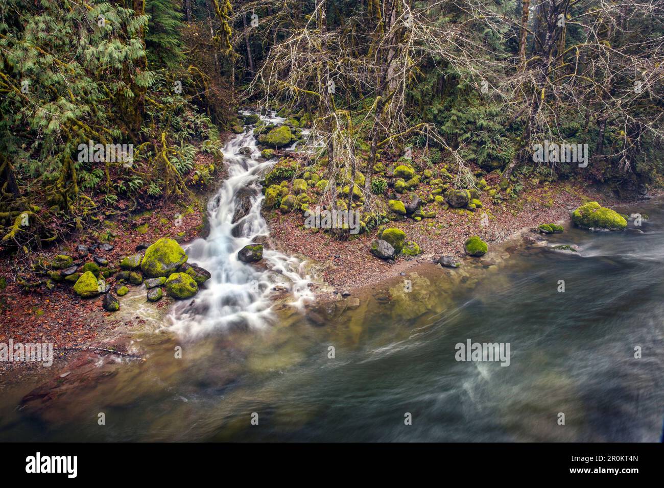 USA, Oregon, Santiam Pass, The Santiam River which is a tributary of ...
