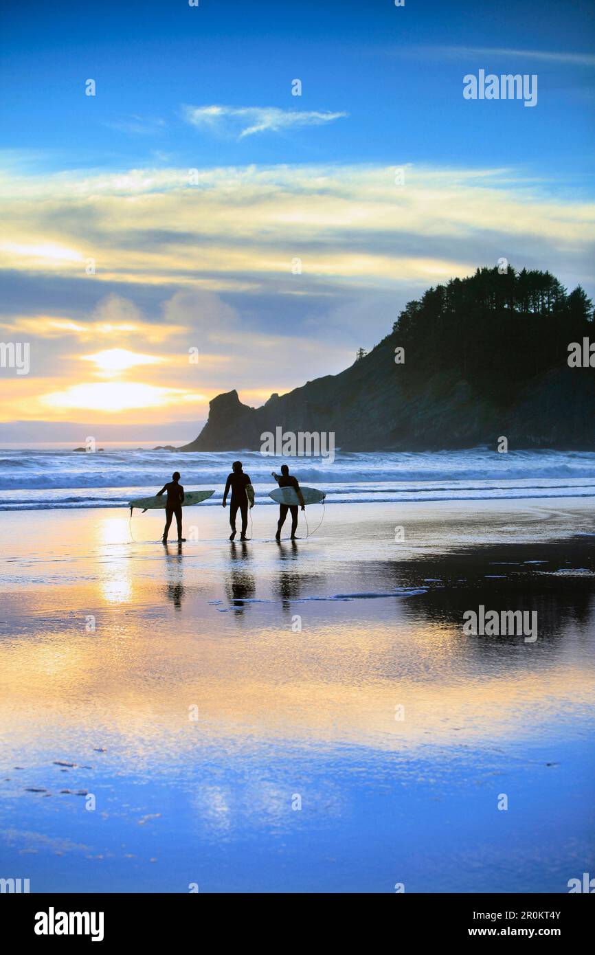 USA, Oregon, Oswald West State Park, surfers walk along the beach and ...