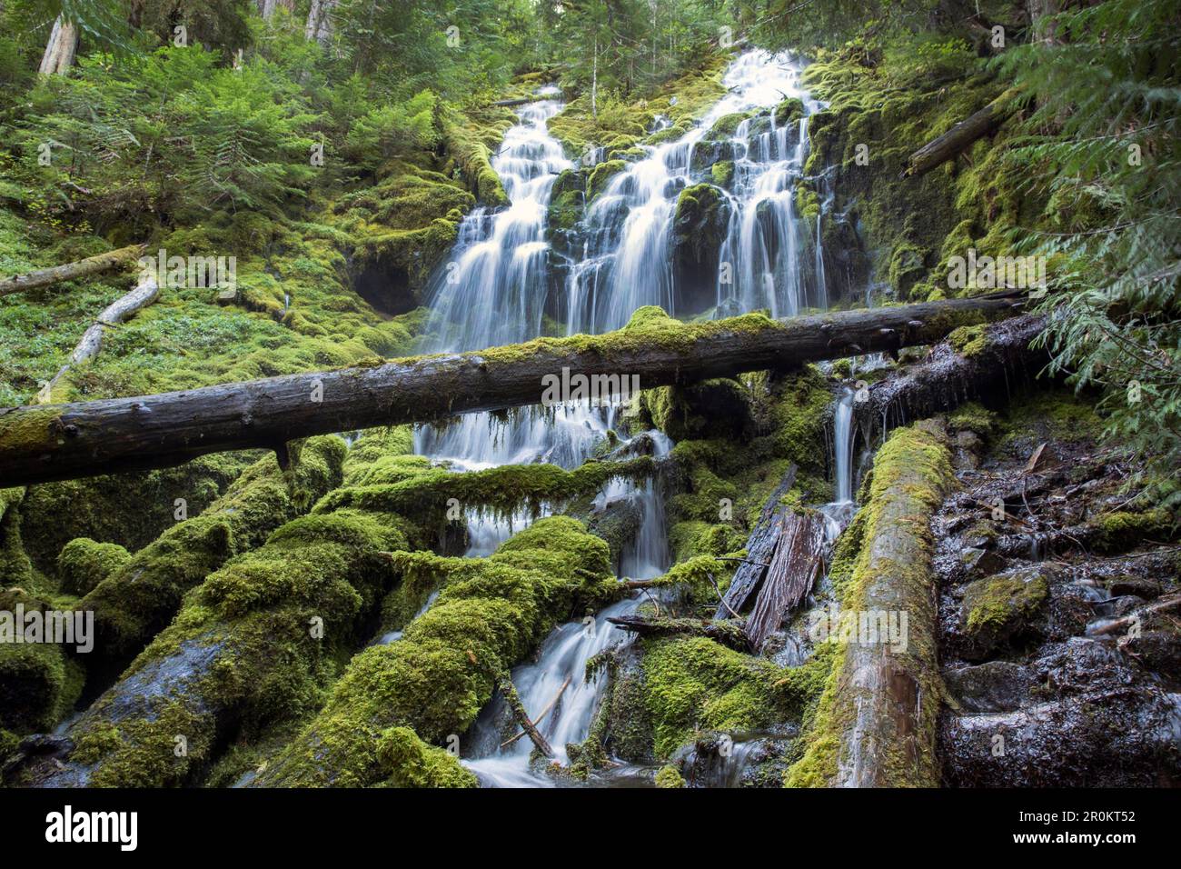 USA, Oregon, Oregon Cascades, Proxy Falls in the Wilamette National ...