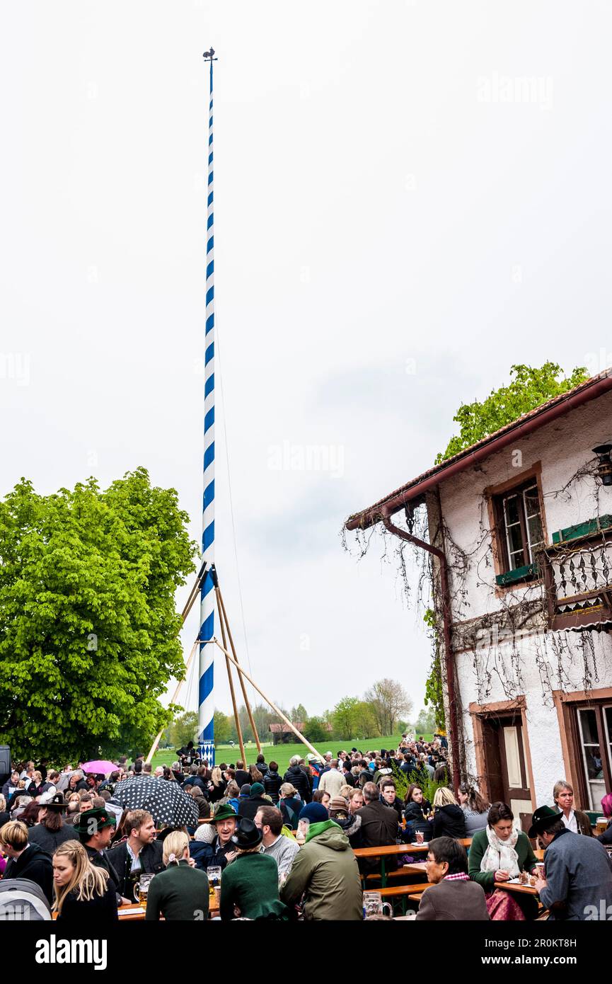 maypole, bavarian tradition, Bavaria, Germany, Europe Stock Photo - Alamy