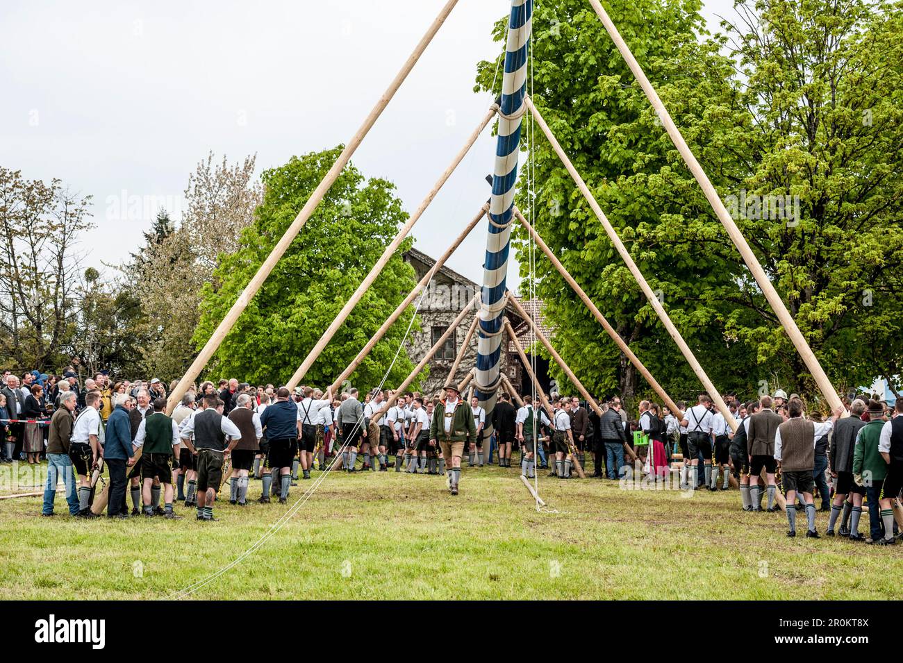 maypole, bavarian tradition, Bavaria, Germany, Europe Stock Photo - Alamy