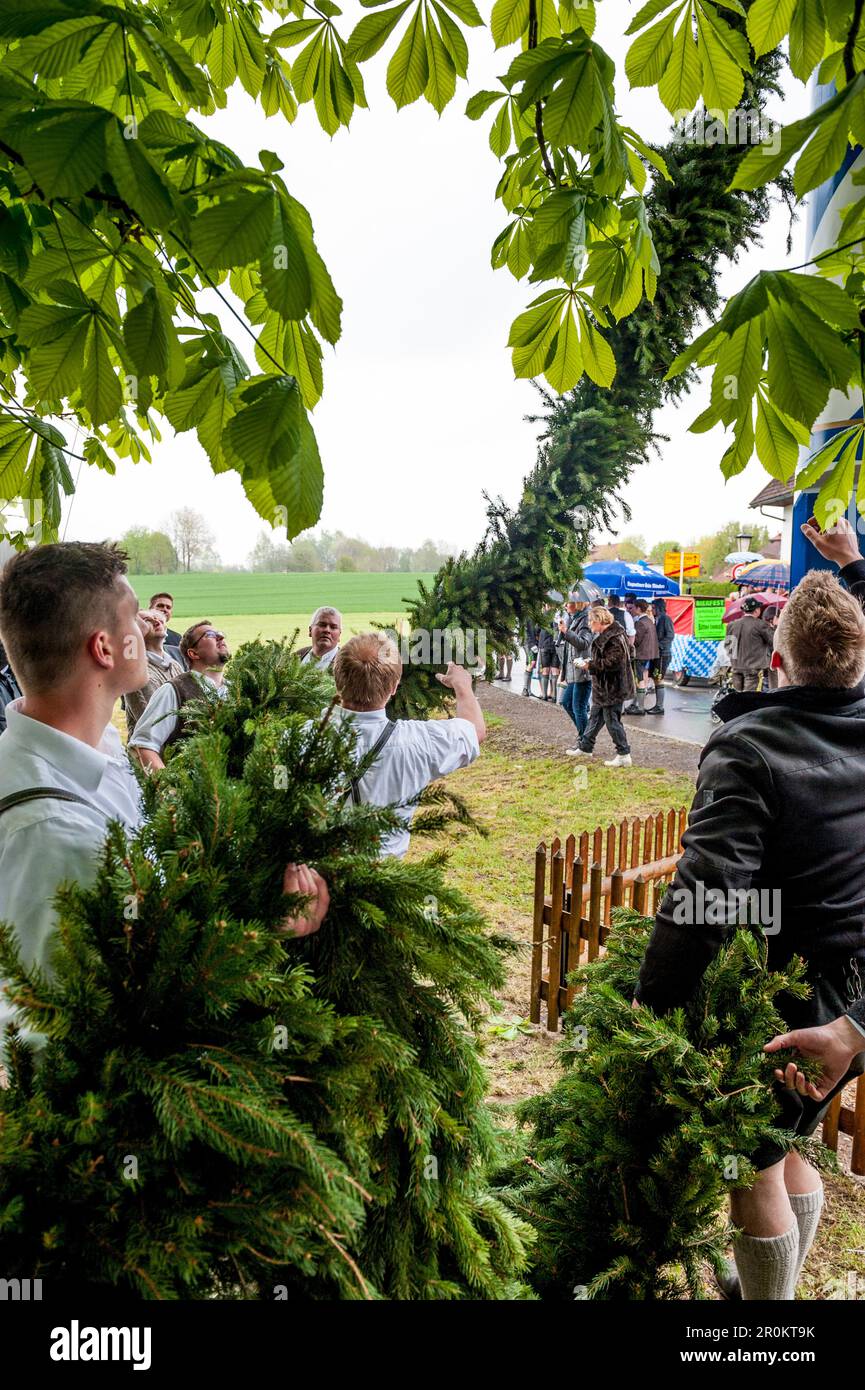 maypole, bavarian tradition, Bavaria, Germany, Europe Stock Photo - Alamy