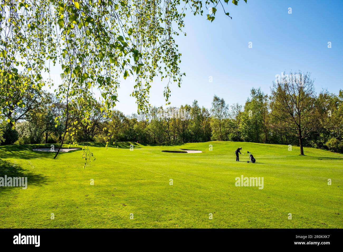 Male golfer at the golfcourse in Holm near Hamburg, North Germany ...