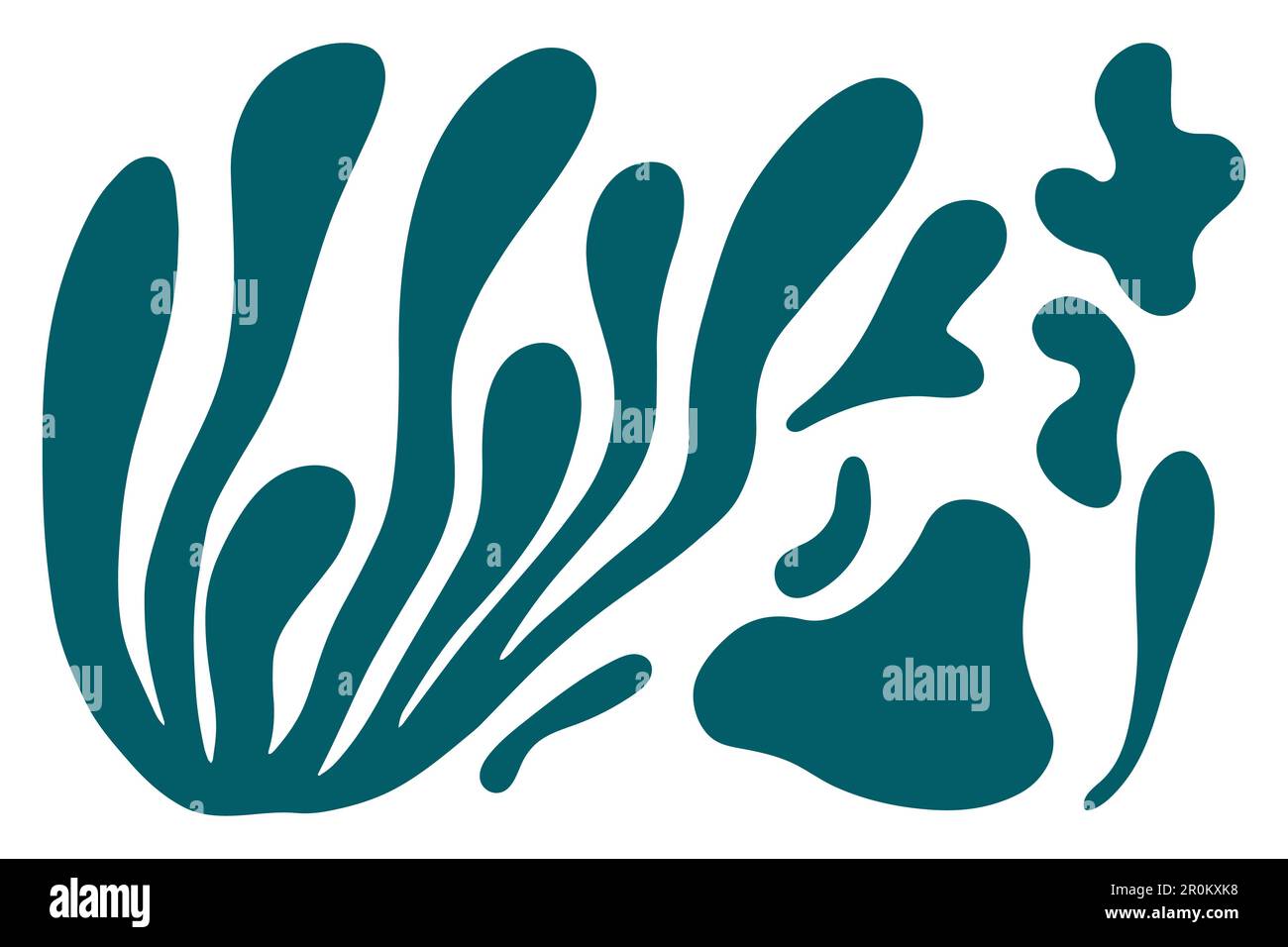 Matisse abstract floral algae shapes in trendy contemporary organic ...